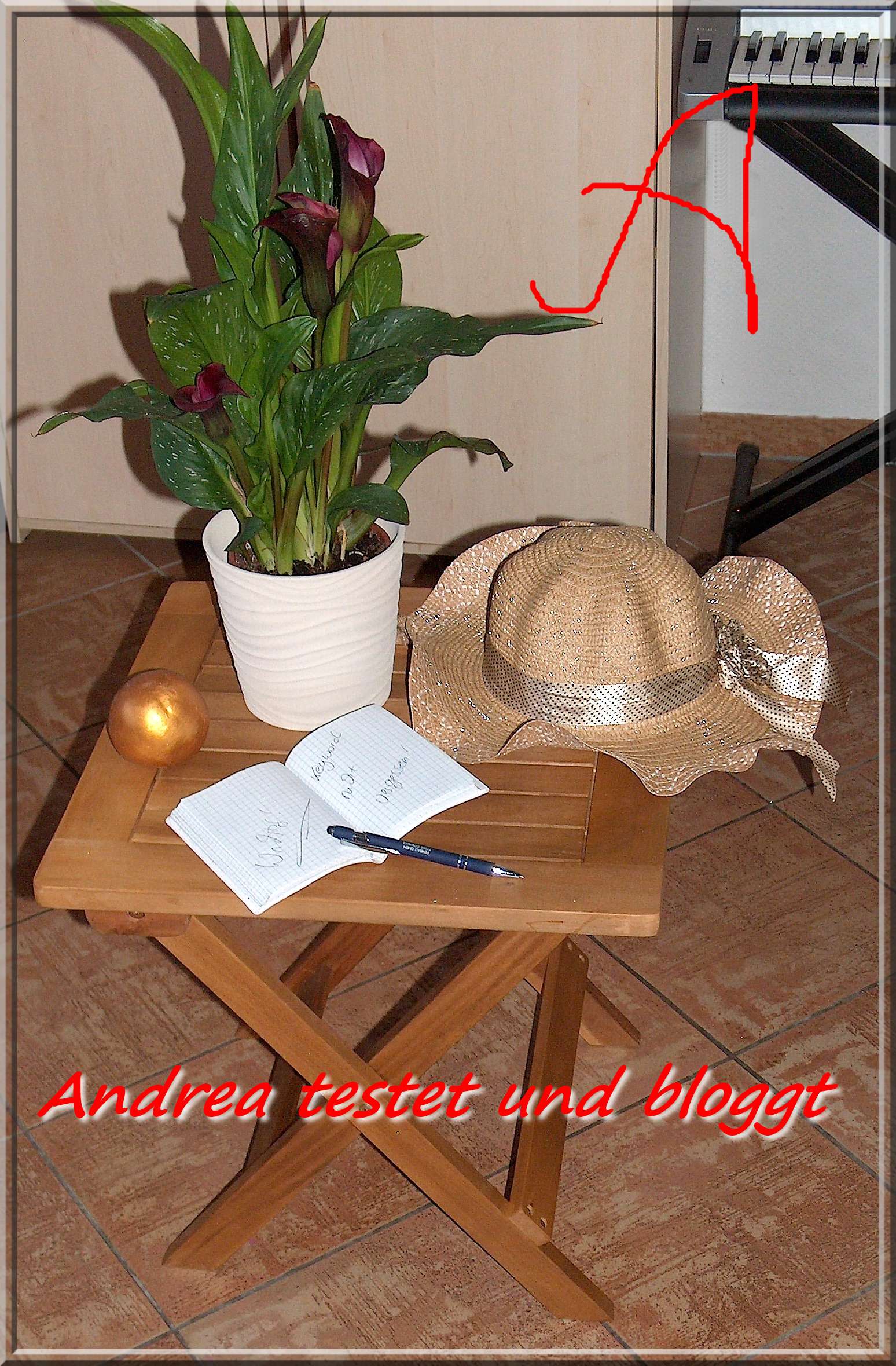 Gartentisch aus Akazienholz von SAM – Andrea testet und bloggt